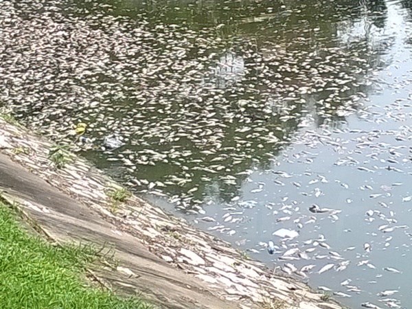 Urgent Need For Law To Control Water Pollution Society Vietnam News