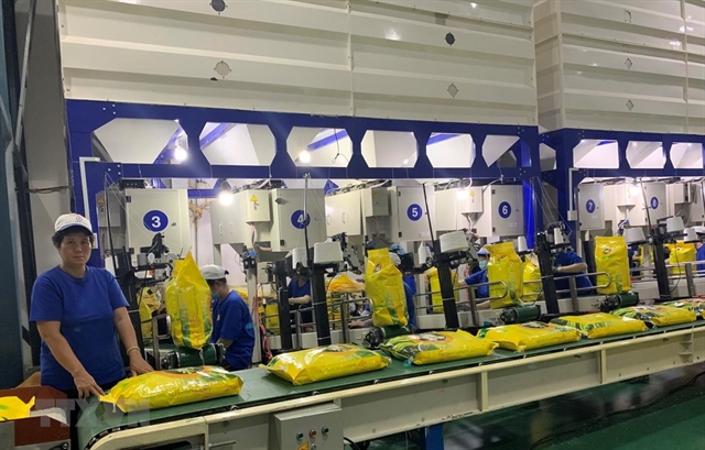 Cần Thơ to export first batch of rice to EU with zero tariff