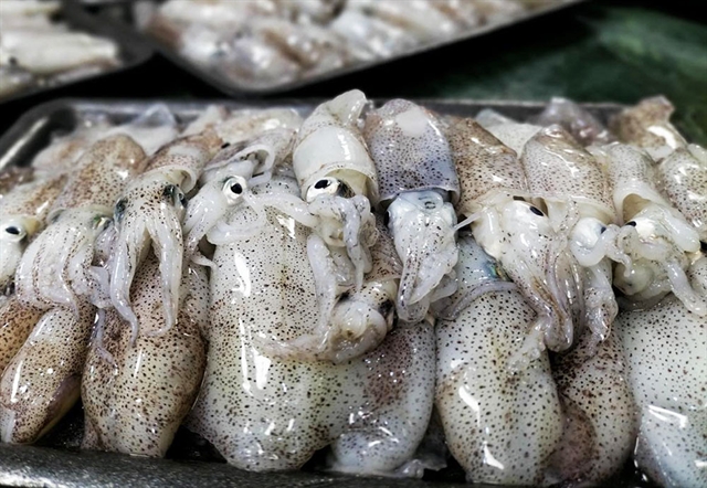 Korea becomes the biggest importer of Vietnamese octopus, squid