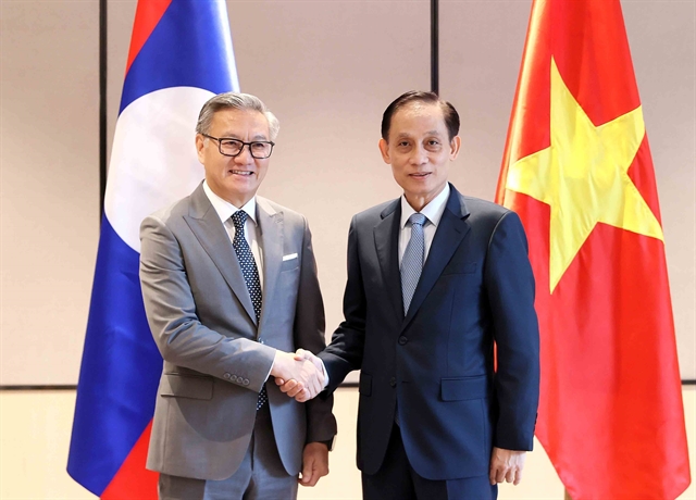 Vietnamese, Lao foreign ministers co-chair 12th political consultation