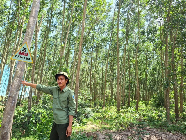 Sustainable forestry project brings new hope to forest-based livelihoods