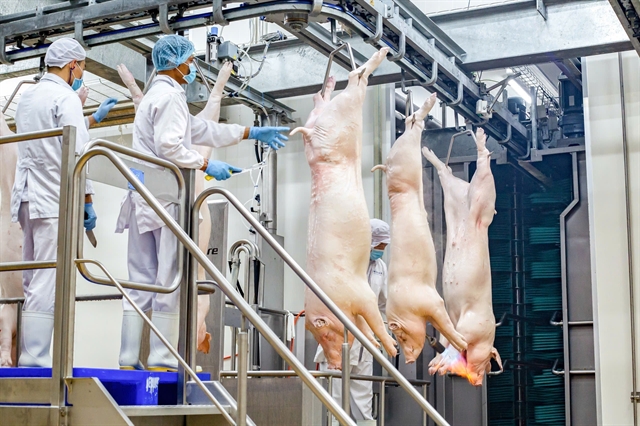 Clean meat, warm habits: Việt Nam grapples with hygiene gaps