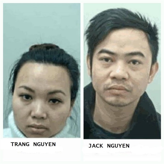 Vietnamese cannabis gang jailed in the UK