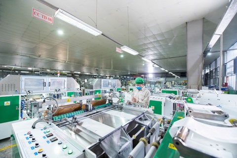 Stavian: Sustainable development is the key in the global game ...