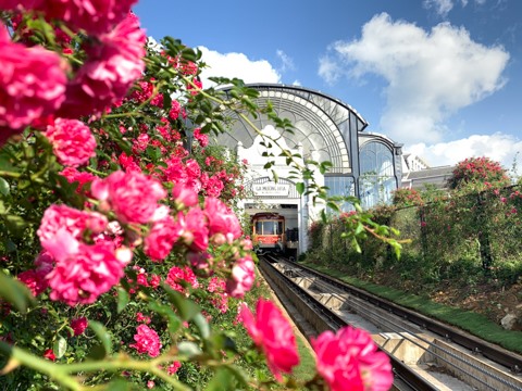 Biggest rose festival in the northwest to take place at Sun World ...