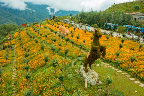 Flying in the flower season of Sapa